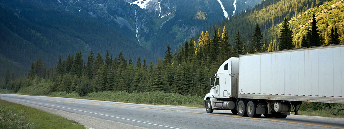 Line Express | Logistics and Transports